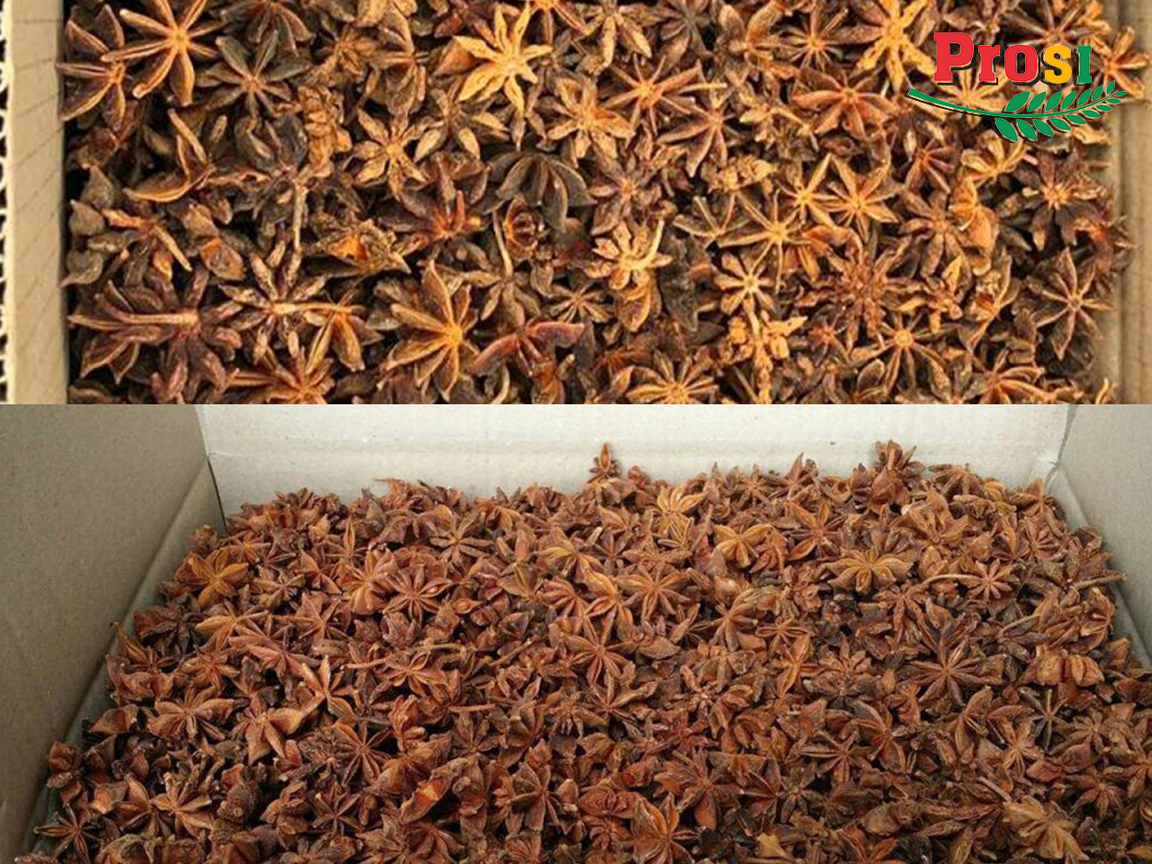 STAR ANISE – Prosi Thang Long