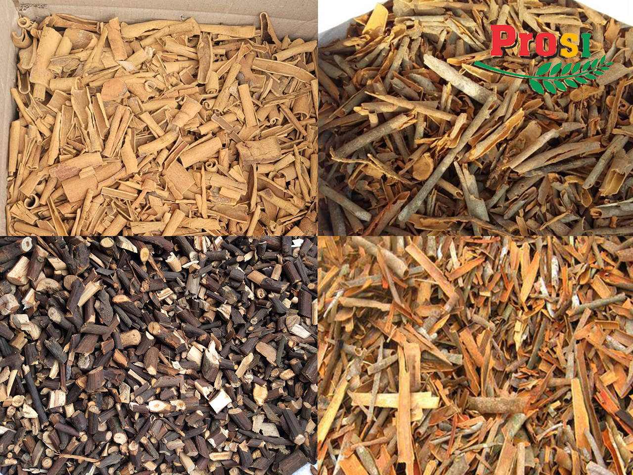 CASSIA CINNAMON – Prosi Thang Long