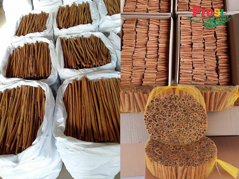 CASSIA CINNAMON – Prosi Thang Long