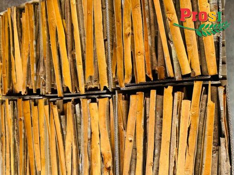 CASSIA CINNAMON – Prosi Thang Long