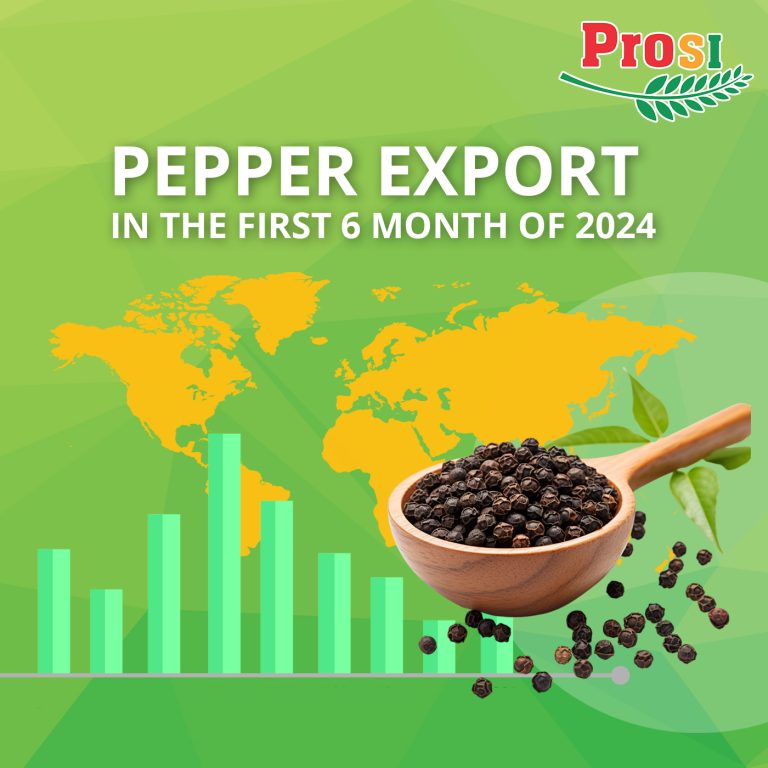 Vietnam Pepper Exports: Strong Performance Amidst Challenges in H1 2024 ...